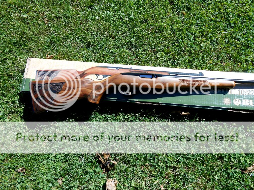 Ruger BSA | Rimfire Central Firearm Forum