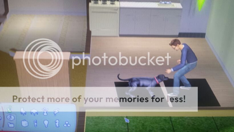 Sims 2 Graphics Issue HD 7770 | Tom's Hardware Forum