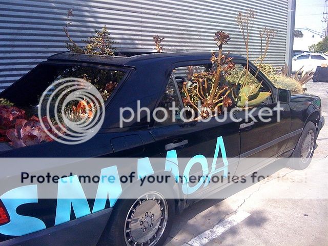 LA HORTERADA DEL DIA VOL.8 (ENGENDROS Y MARAVILLAS) - Página 31 - Club ...